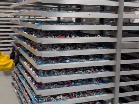 Freeze-dried Candy Supplier,Professional Technology - MPS