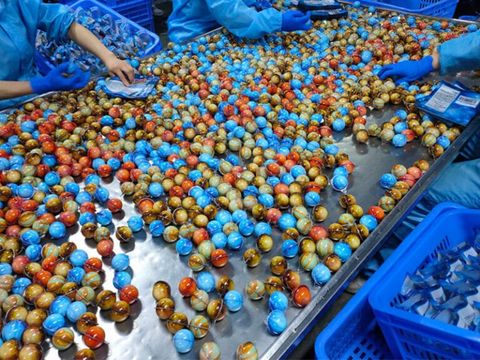 Professional Candy Supplier for You-MPS